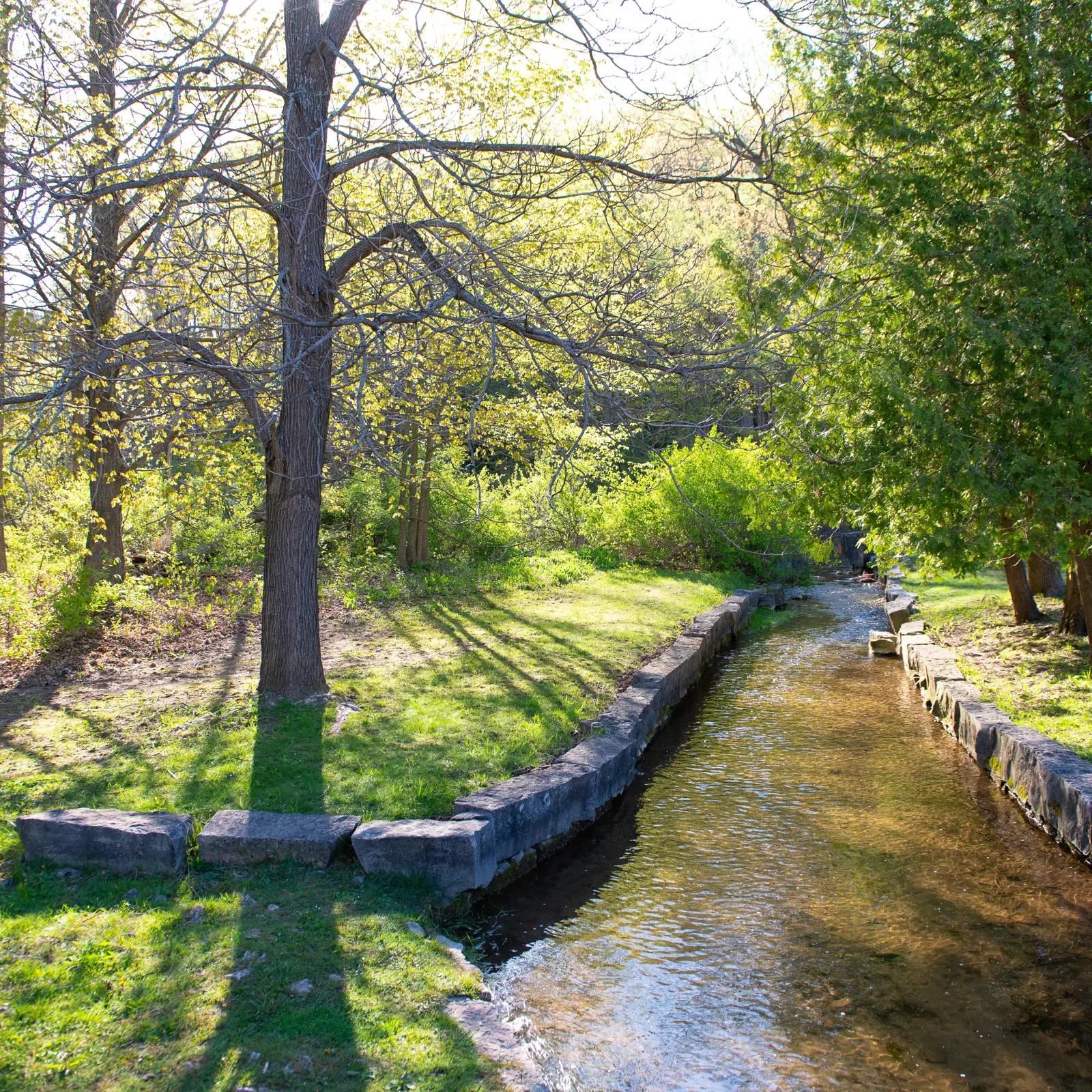 Community Profile | Owen Sound, ON